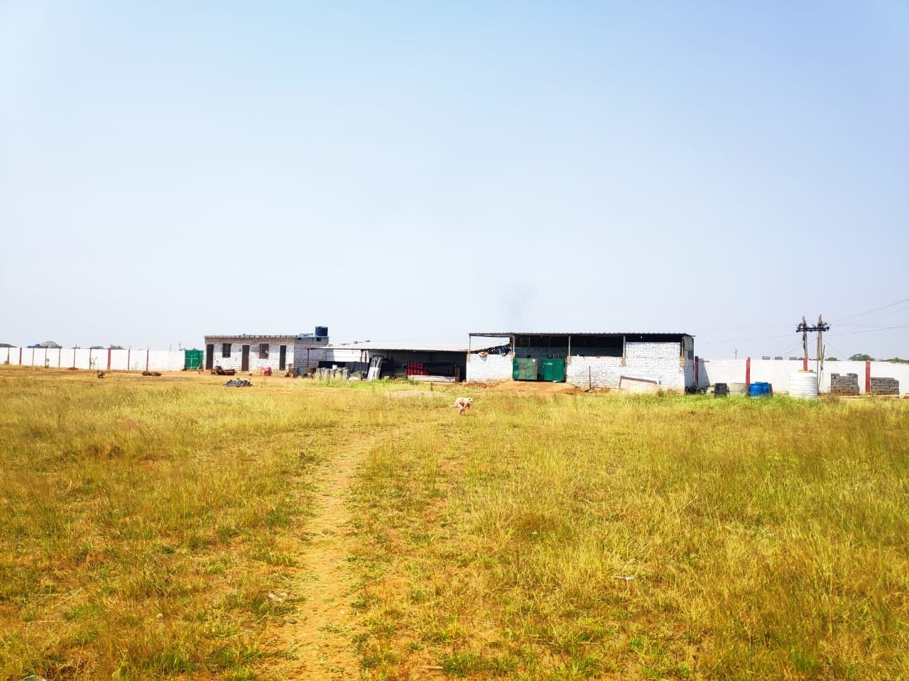 VATIKA ANIMAL SANCTAURY